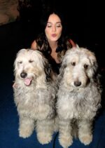 Celebrities and Their Cute Pets