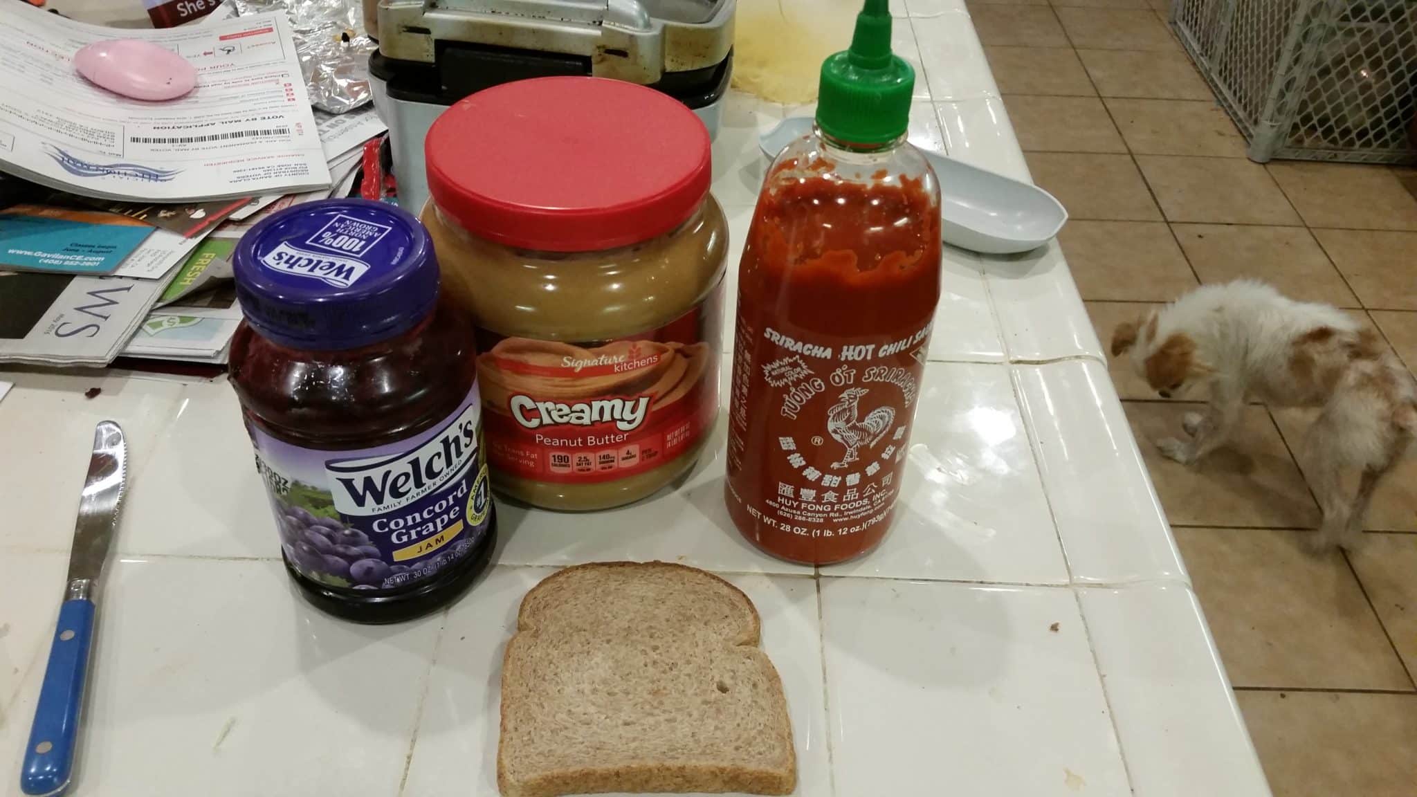 Tasty Fusion:25 Surprising Food Combinations That Work