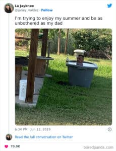 Summer Shenanigans: Hilarious Tweets Embracing the Joy and Pain of the ...