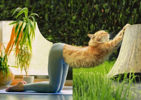 Discover the Beautiful World of Cat Collages: Explore the Best Artworks ...