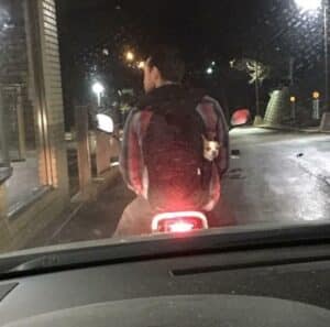 Roadside Wonders: 50 Hilariously Bizarre Moments Caught on Camera