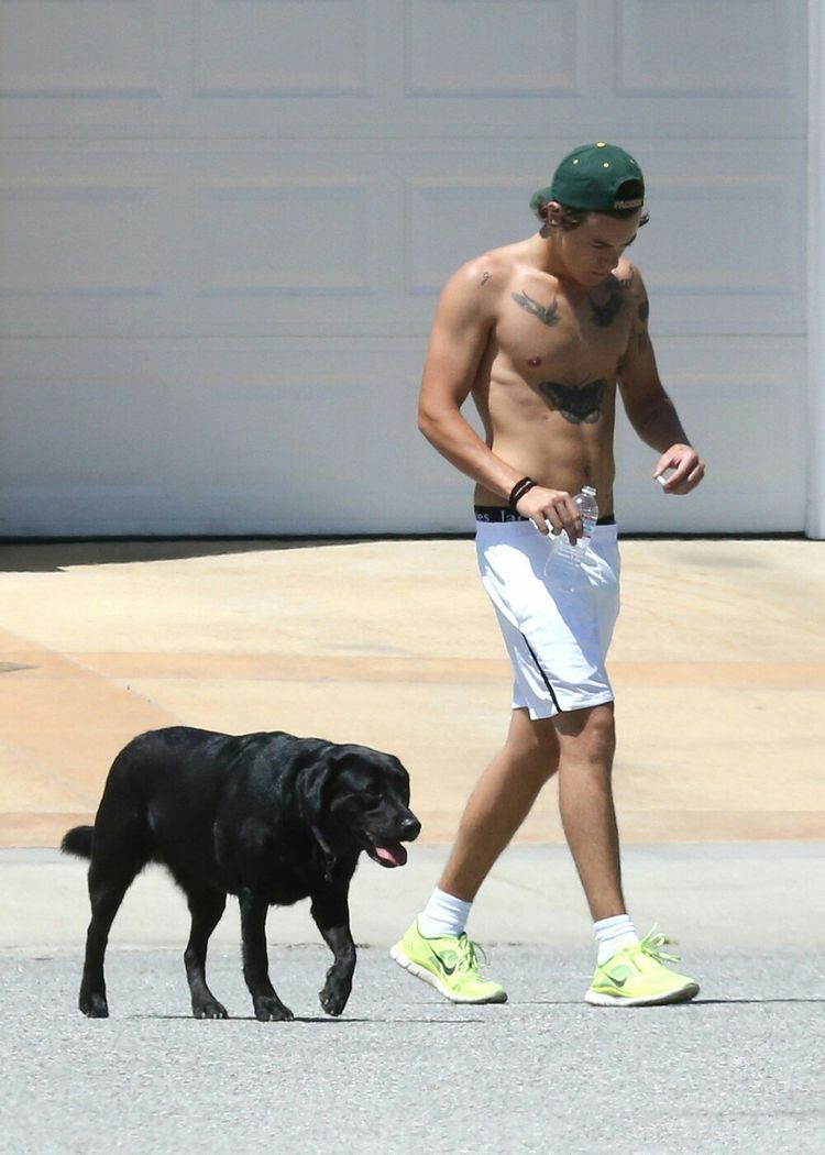 Harry Styles Flaunts Inked Physique and Impressive Tattoos as he Sweats ...