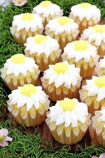 The Cutest Daisy Cupcakes Easy to Make