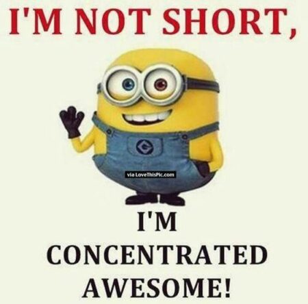Minion Quotes: Adding Fun and Whimsy to Your Day