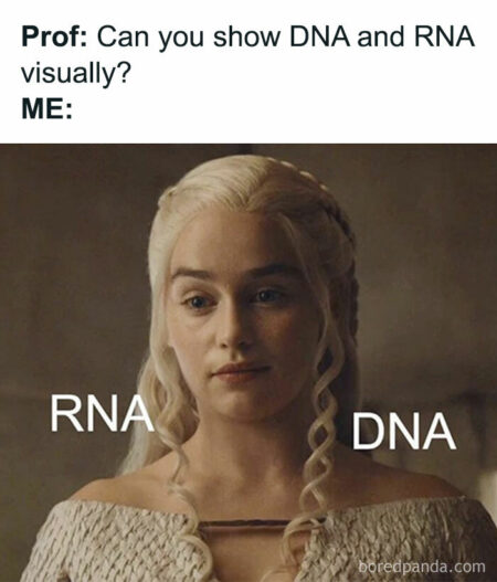 Laugh and Learn: Hilarious Science Memes That Will Delight Your Mind ...