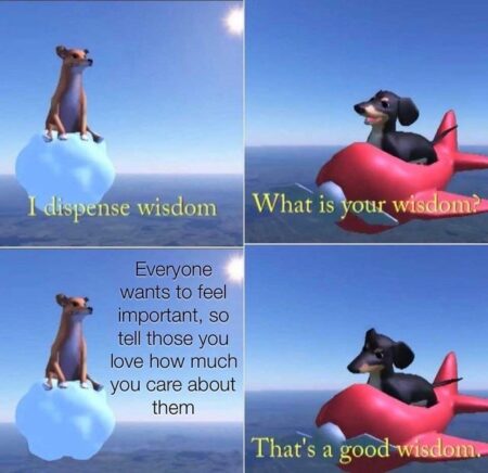 20+ Memes and Messages For People Who Need A Boost