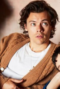 Harry Styles Age Hometown, Biography, Age And Love Life