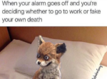 15 funny Sleep Memes That Will Have You Laughing Your Way to Dreamland