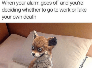 15 funny Sleep Memes That Will Have You Laughing Your Way to Dreamland