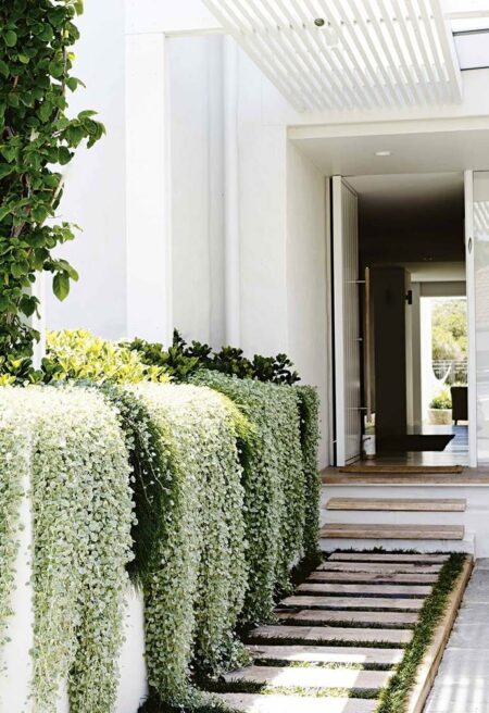 Discover the Ultimate Guide to Front Garden Greenery