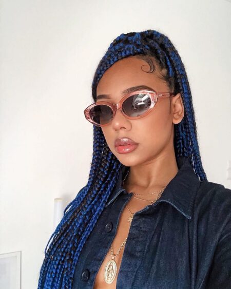 Blue and Black Braids Hairstyles Transform Your Look