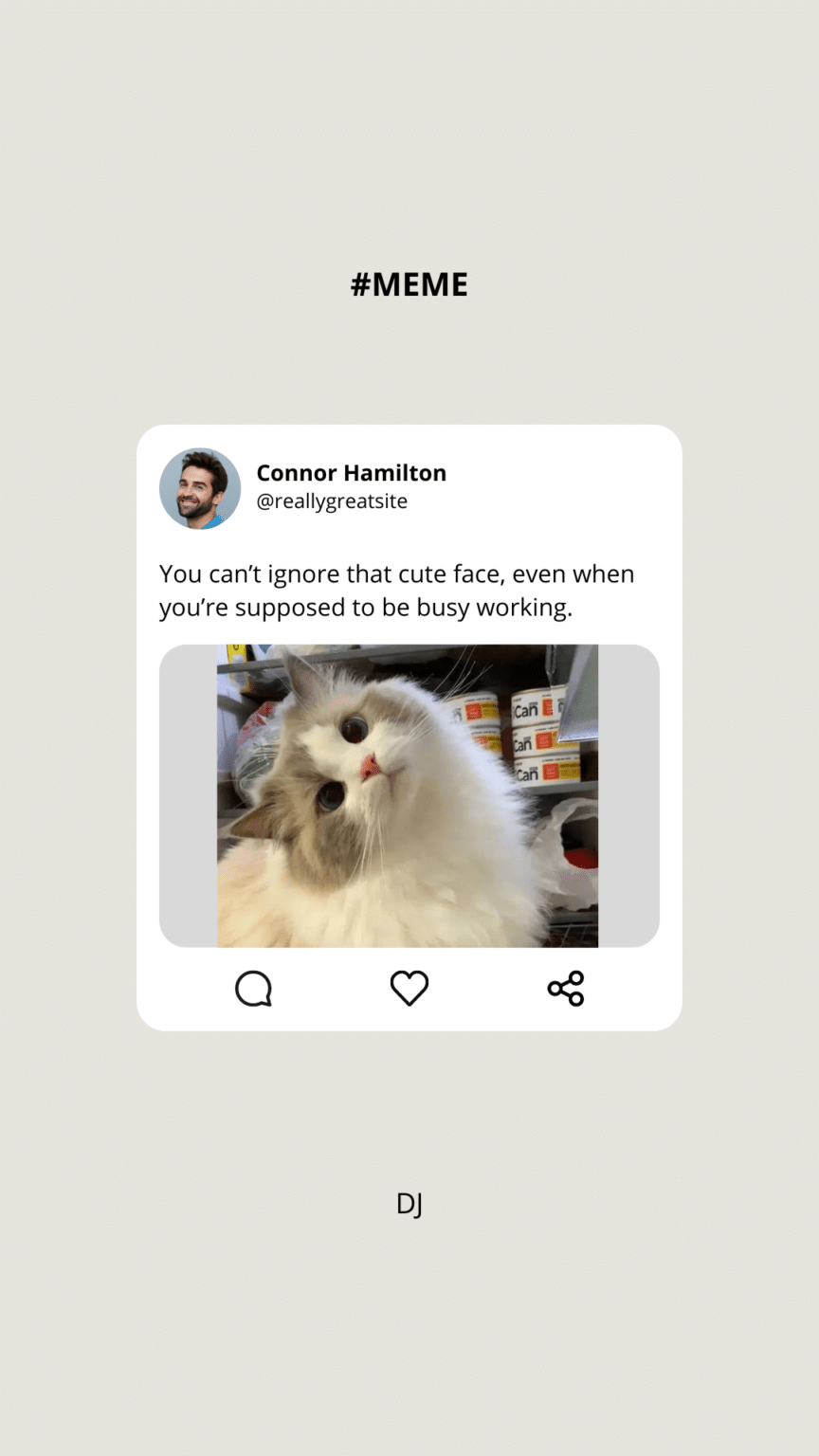 Cute Funny Cats With Top 15 Hilarious Cat Comedies