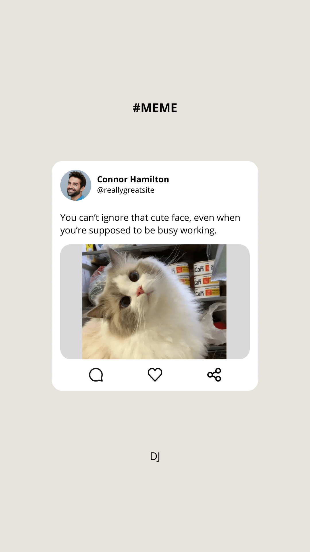 Cute Funny Cats With Top 15 Hilarious Cat Comedies