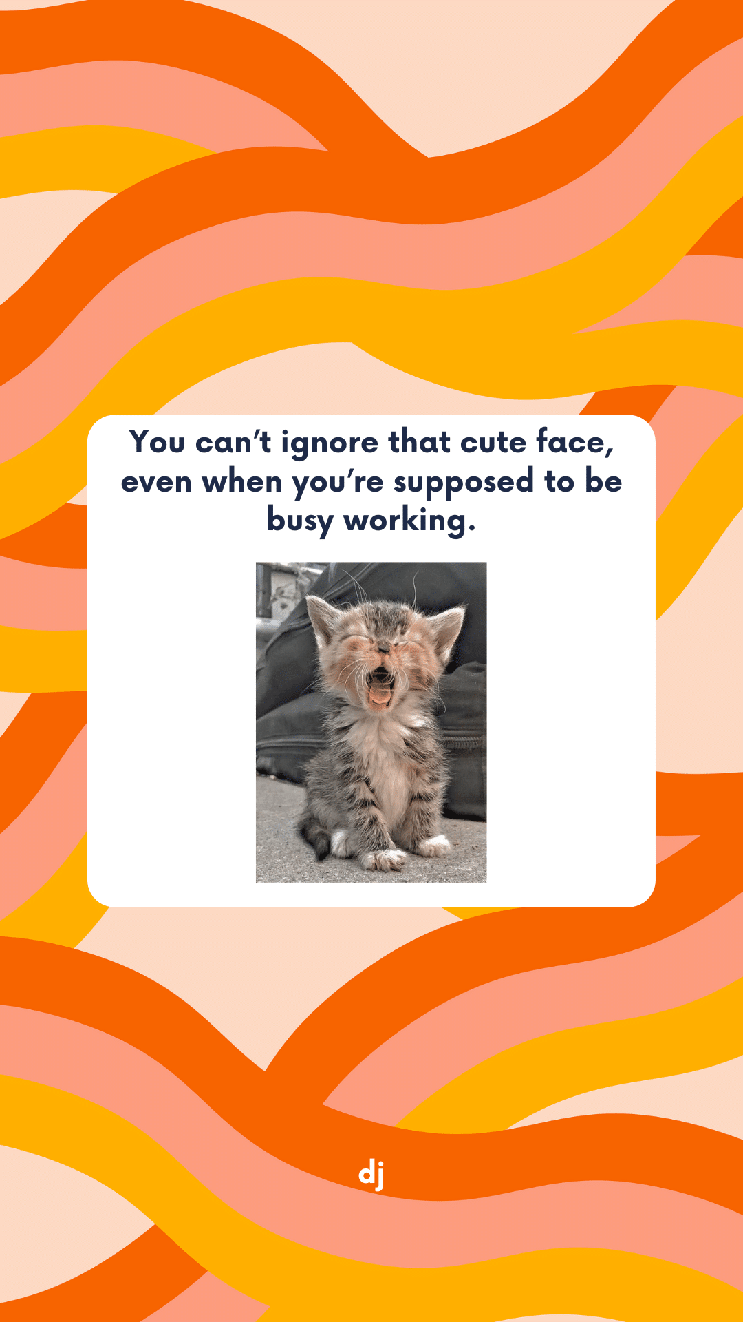 Cute Funny Cats With Top 15 Hilarious Cat Comedies