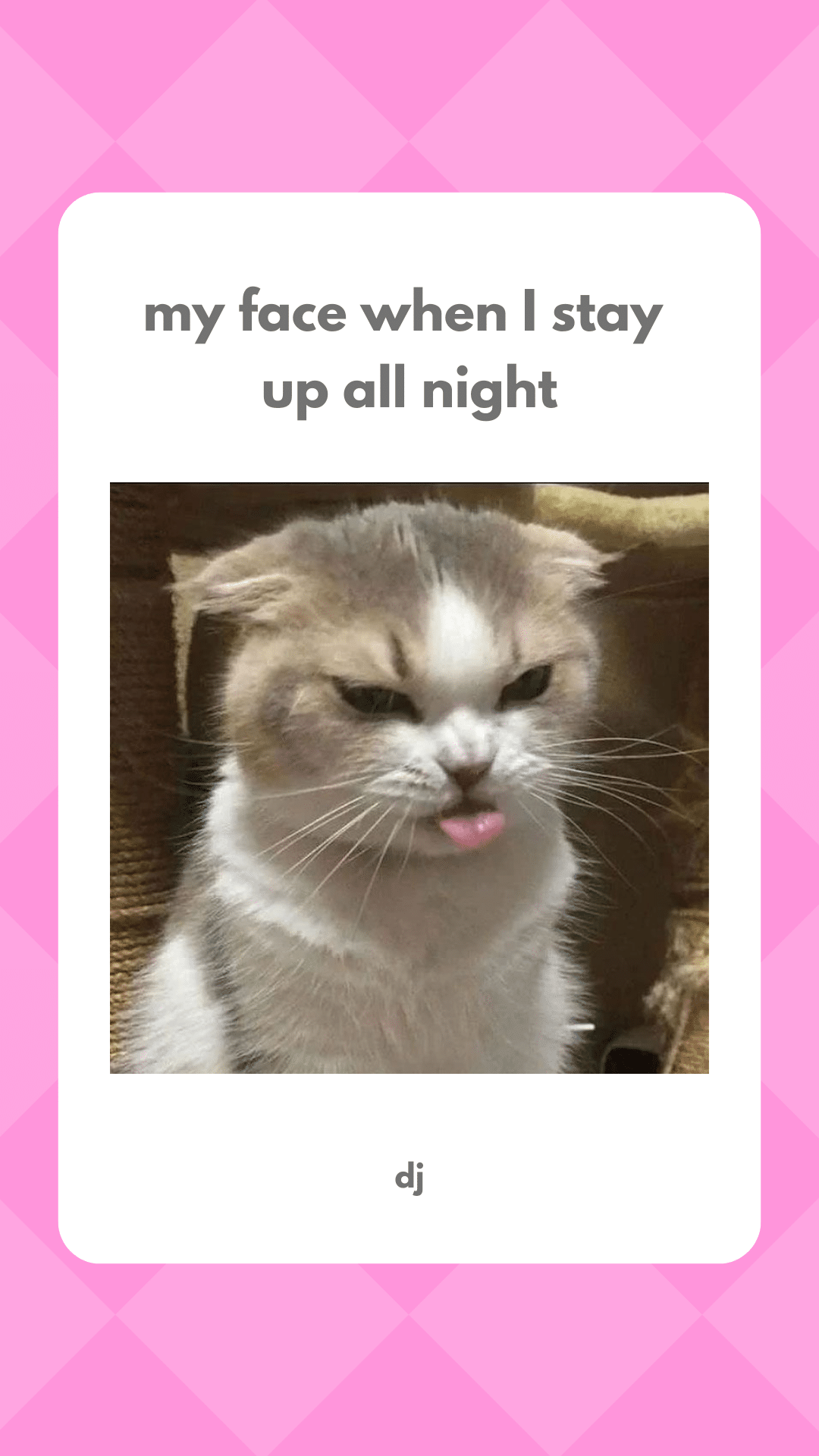Cute Funny Cats With Top 15 Hilarious Cat Comedies