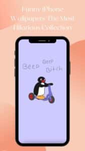 Funny iPhone Wallpapers The Most Hilarious Collection