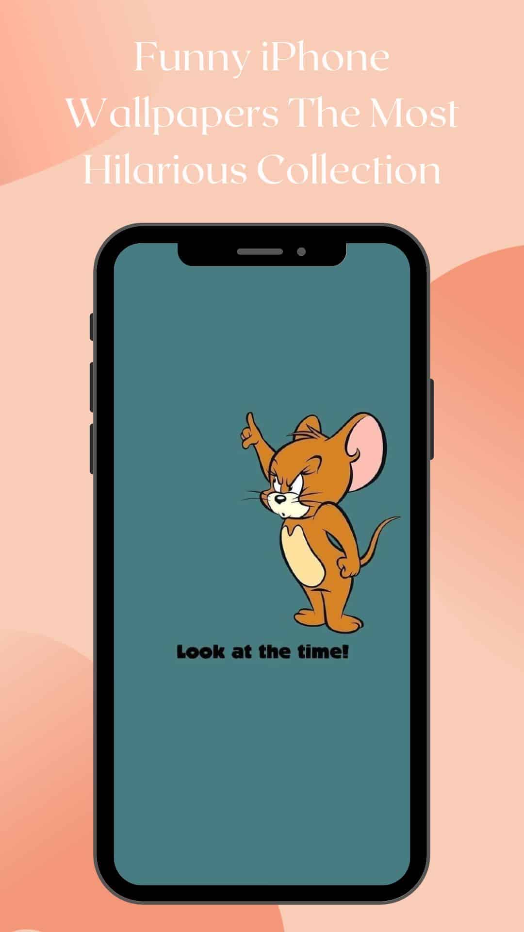 Funny iPhone Wallpapers The Most Hilarious Collection