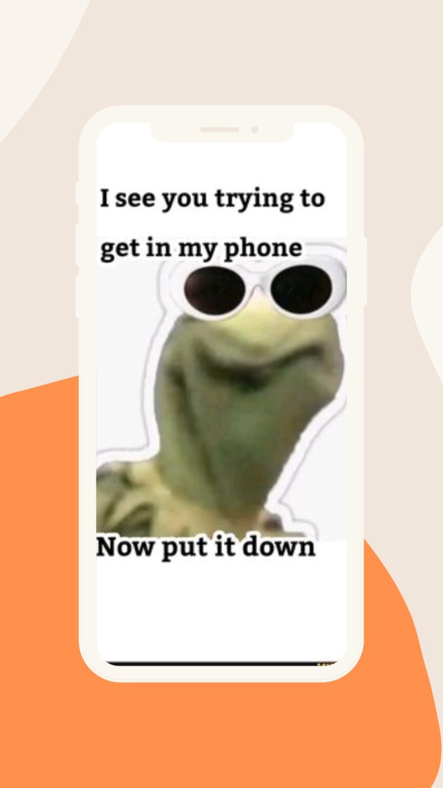 Funny iPhone Wallpapers The Most Hilarious Collection