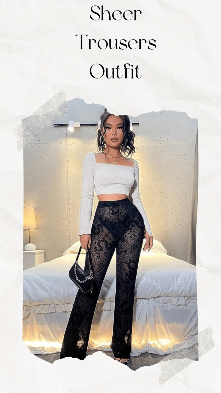 Sheer Trousers Outfit Ideas for Stunning Chic Look