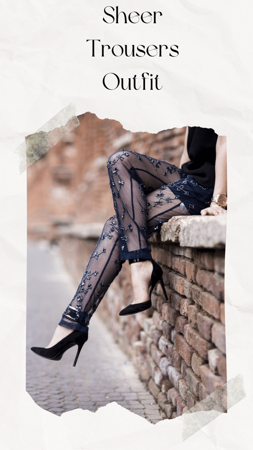 Sheer Trousers Outfit Ideas for Stunning Chic Look