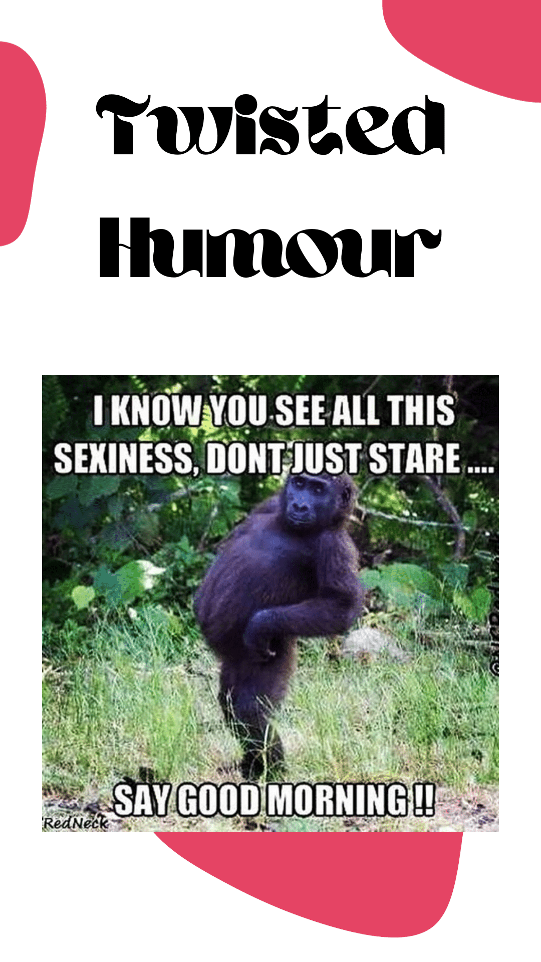 Why We Love Twisted Humour The Science of Laughter