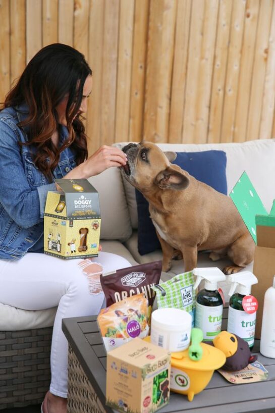 This Article Will Make Your Romantic Pets Amazing