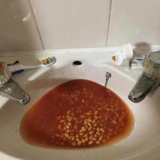 Weird Food Memes That May Spoil Your Appetite