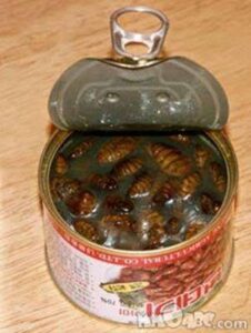 Weird Food Memes That May Spoil Your Appetite