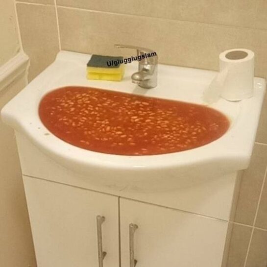 Weird Food Memes That May Spoil Your Appetite