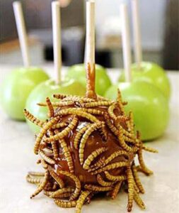 Weird Food Memes That May Spoil Your Appetite