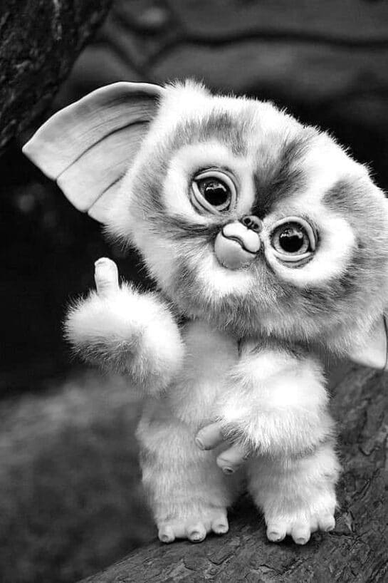 These Funny Pictures Will Make You Forget All About Your Troubles