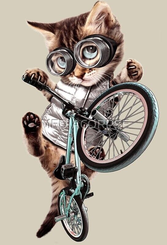 These Funny Pictures Will Make You Forget All About Your Troubles