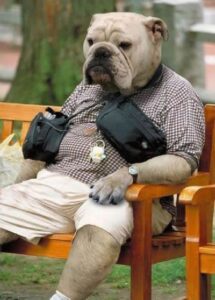 "Pawsitively Hysterical: A Journey into the World of Funny Puppies"