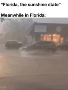 How To Make The Most Of True Florida Memes No One Can Deny