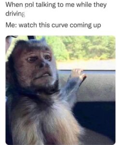 How To Make The Most Of True Florida Memes No One Can Deny