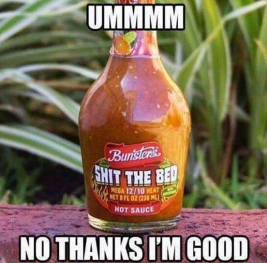 How To Make The Most Of True Florida Memes No One Can Deny