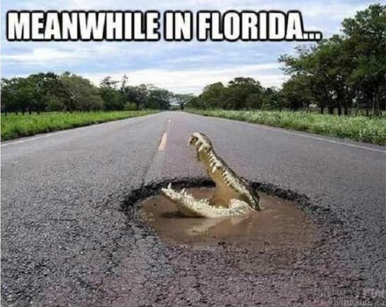 How To Make The Most Of True Florida Memes No One Can Deny