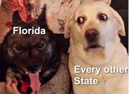 How To Make The Most Of True Florida Memes No One Can Deny