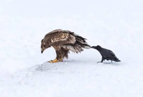 Real and Weird Photos That Show Our Planet's Unusual Side