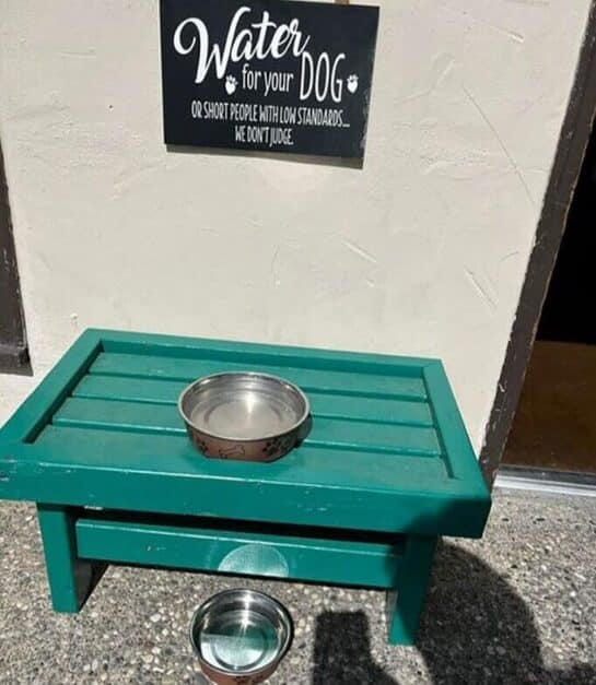 Surprising And Eye-Catching Signs People Just Had To Know