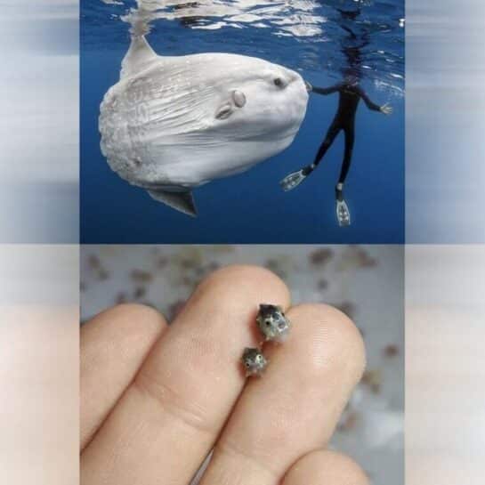 When Is The Best Time To Take Comparison Photos?