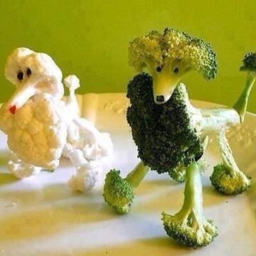 Food Art That's So Funny, It's Almost Cute!