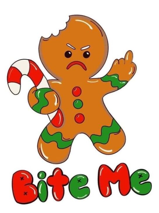 Funny Memes About Christmas i Bet You Never Knew
