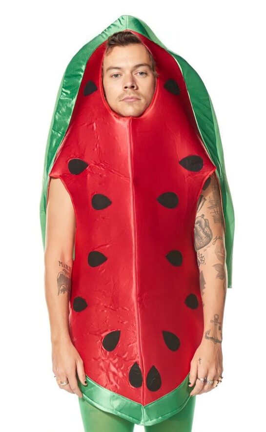 Get Ready to Laugh Hard The Funniest Harry Styles Pictures Ever!