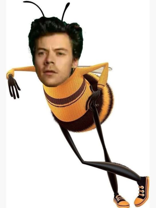 Get Ready to Laugh Hard The Funniest Harry Styles Pictures Ever!