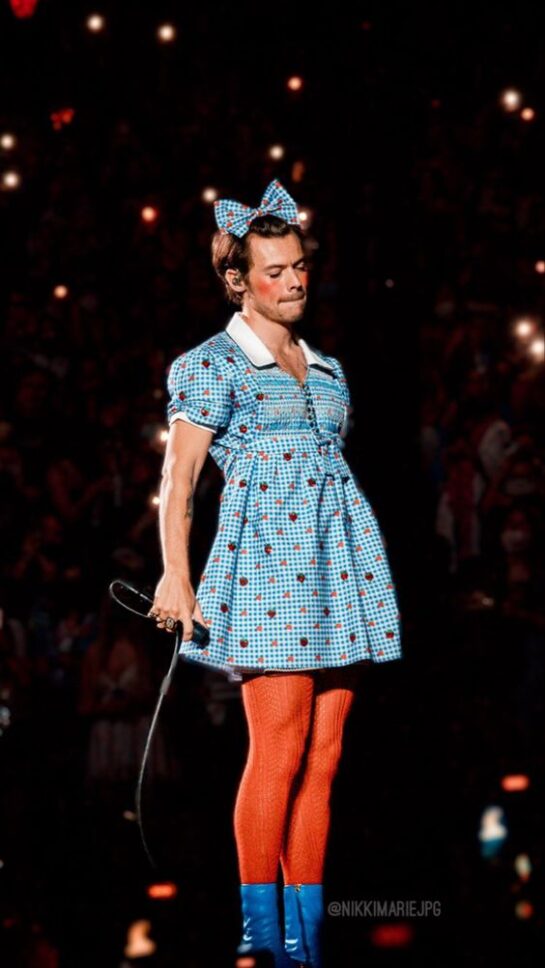 Get Ready to Laugh Hard The Funniest Harry Styles Pictures Ever!
