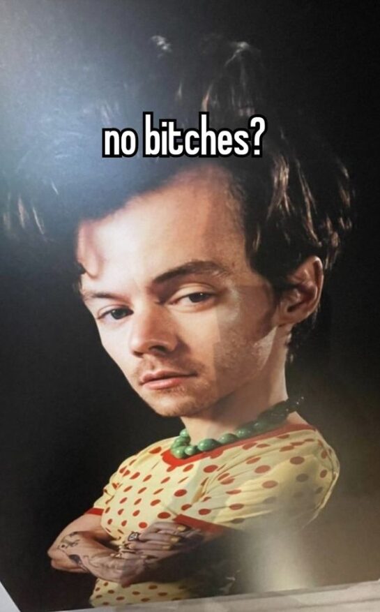 Get Ready to Laugh Hard The Funniest Harry Styles Pictures Ever!