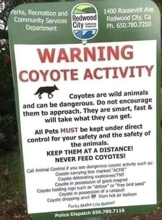 Hilarious and Eye-Catching Signs People Just Took Photos