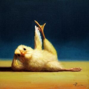These Chickens Are More Flexible Than You!