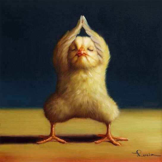 These Chickens Are More Flexible Than You!